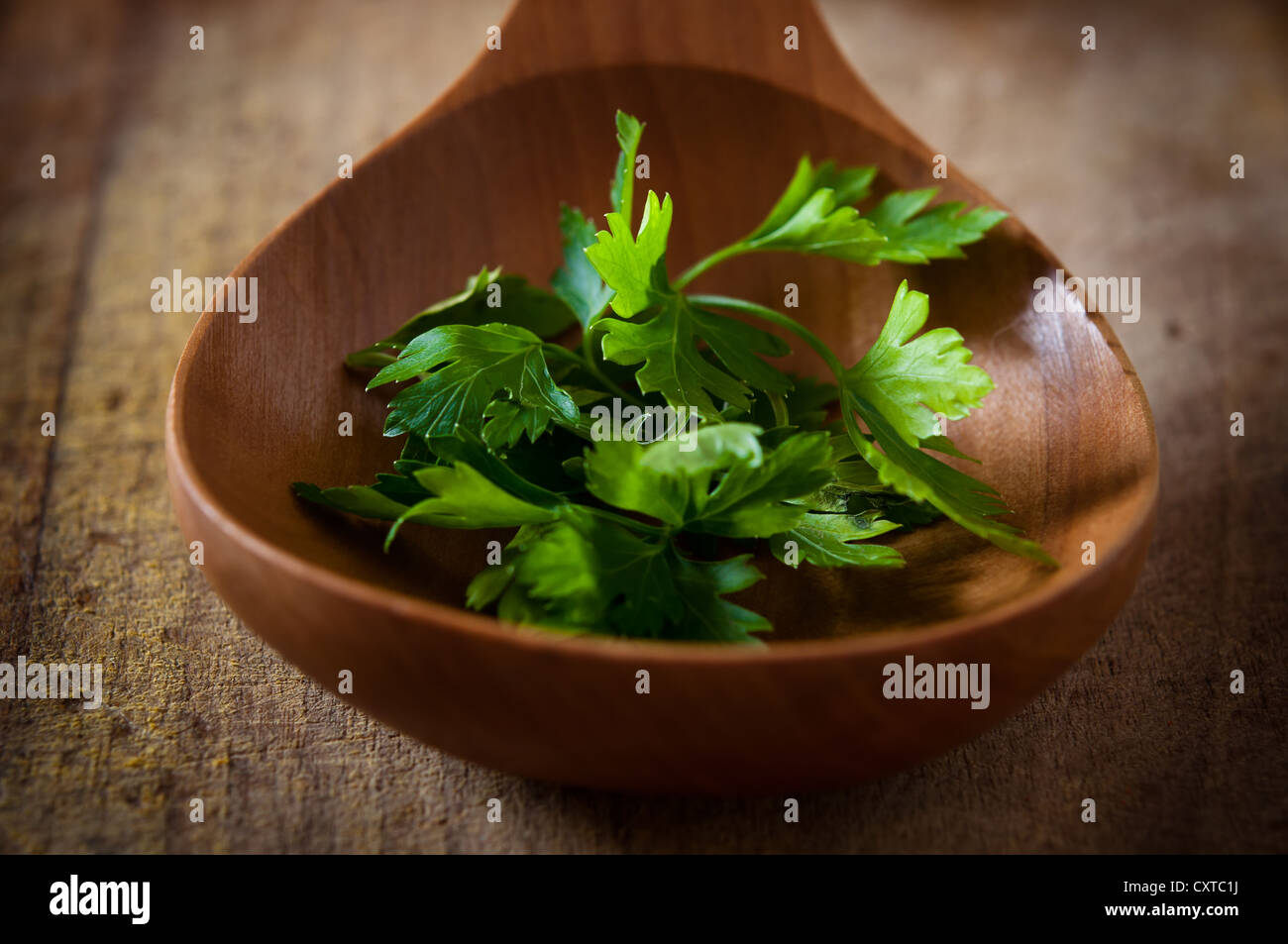green stalks of parsley in a wooden spoon Stock Photo - Alamy