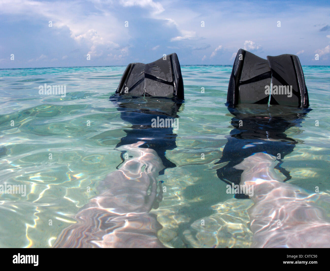 man floating wearing flippers fins dry tortugas florida keys usa Stock ...