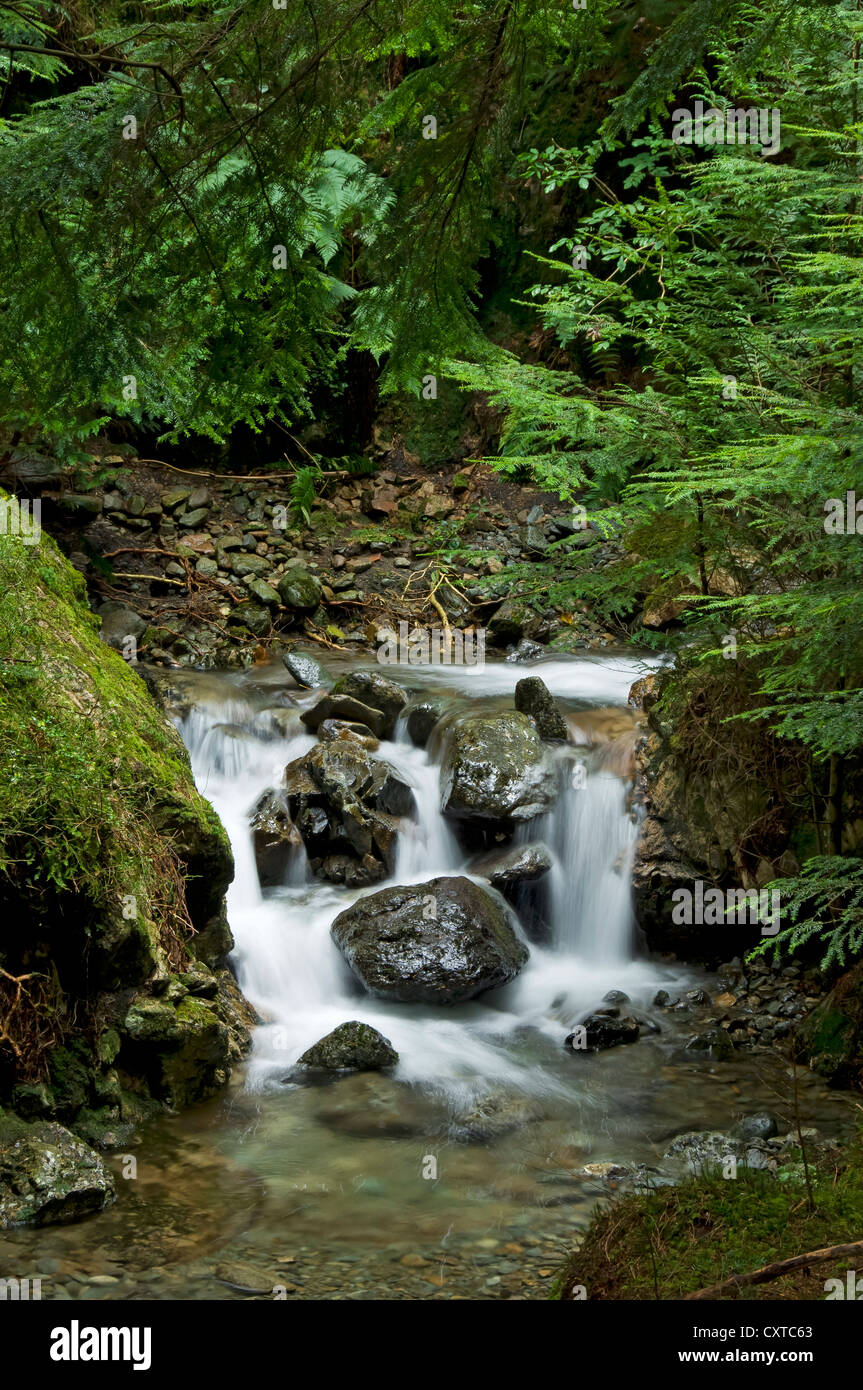 Waterfall waterfalls near Wythburn in summer Lake District National ...