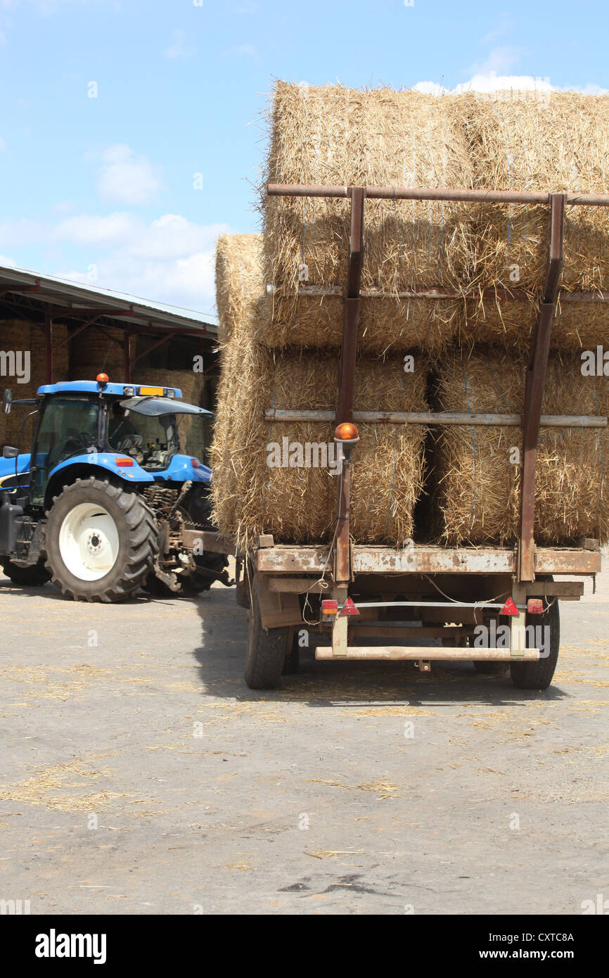Bails of hay Stock Photo - Alamy