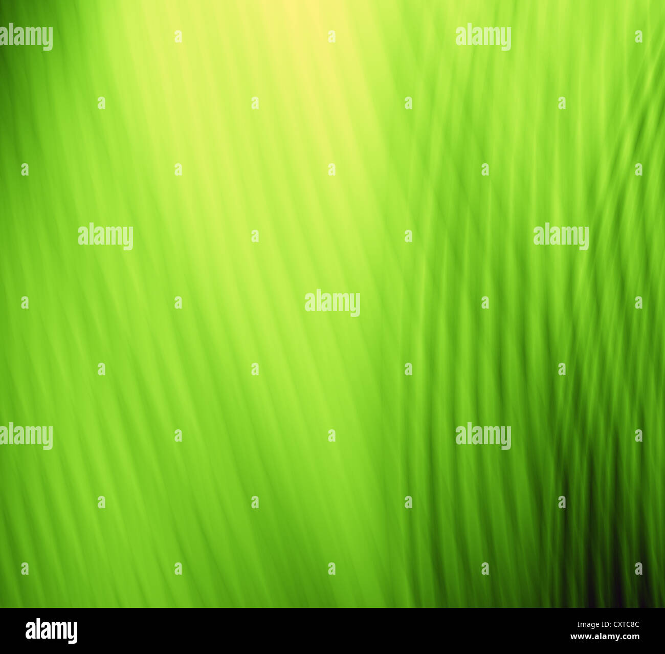 Nature grass abstract wallpaper design Stock Photo - Alamy
