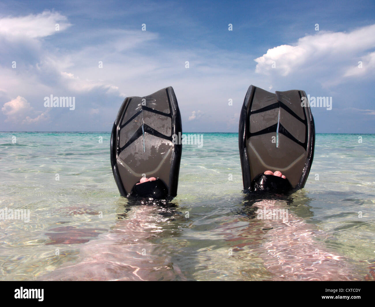 man floating wearing flippers fins dry tortugas florida keys usa Stock ...
