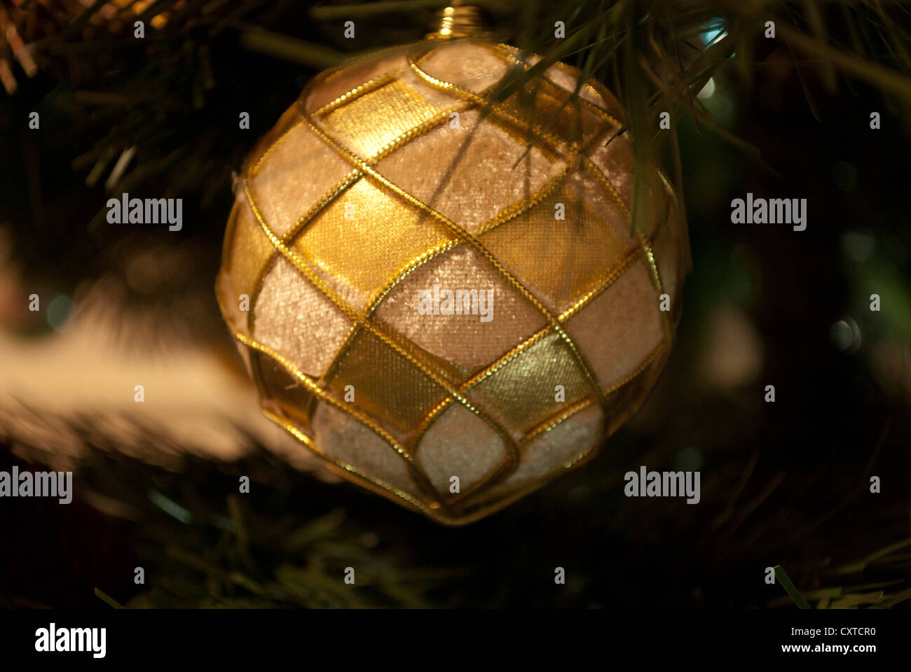Geodesic pattern hi-res stock photography and images - Alamy