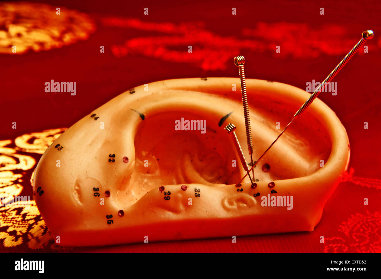 ear model with acupuncture needles Stock Photo - Alamy