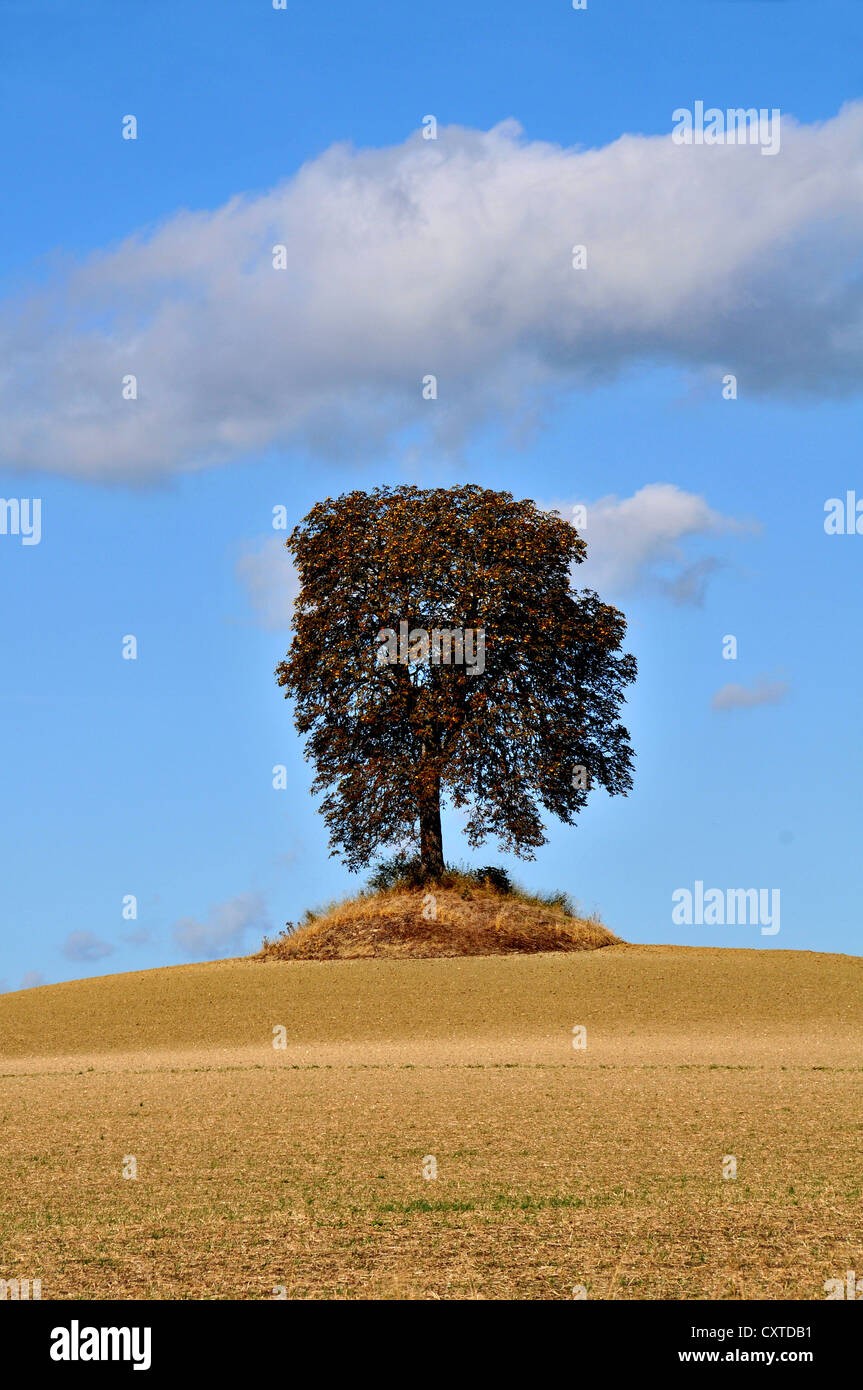 Beautiful massif central hi-res stock photography and images - Alamy