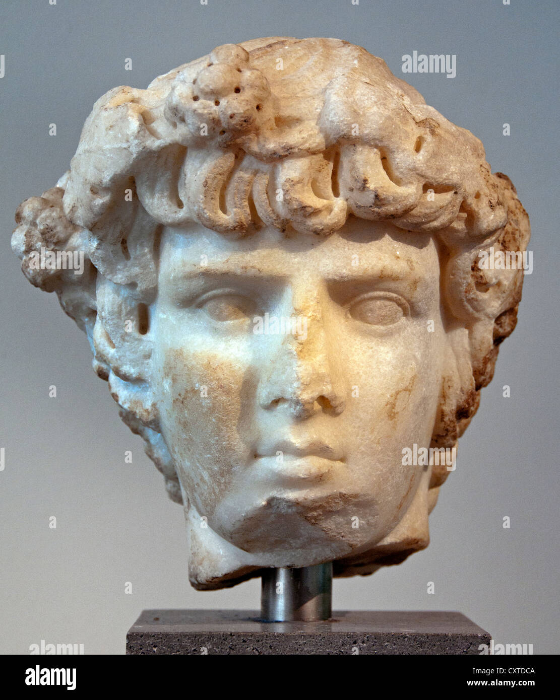 Marble portrait head of Antinoos ca. A.D. 130–138 Roman Marble 24cm ...