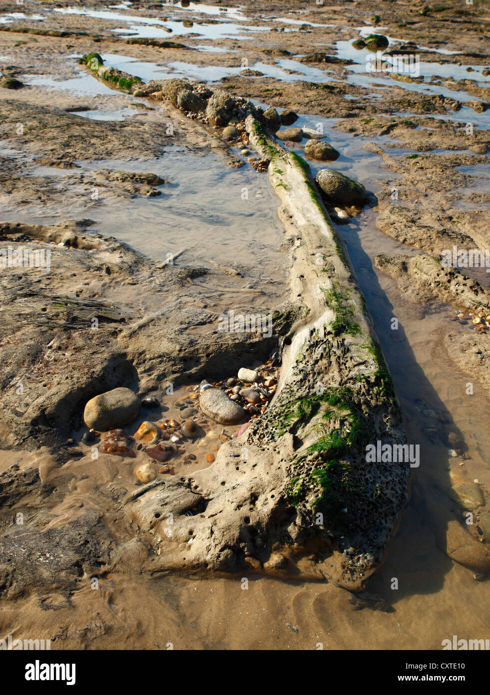 Pett level, east sussex beach hi-res stock photography and images - Alamy