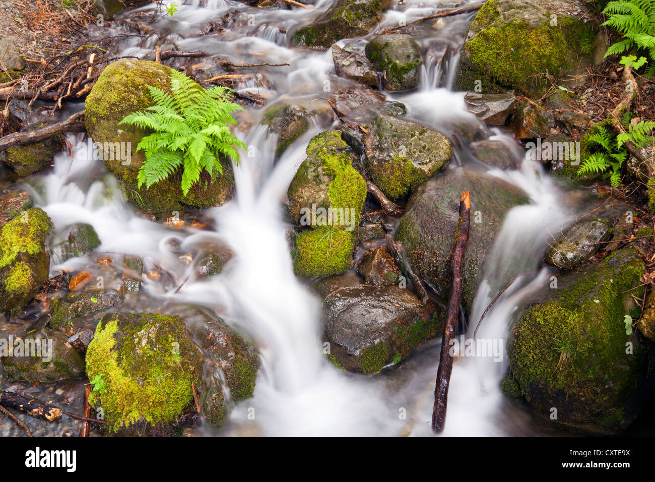 Stream flowing through landcape hi-res stock photography and images - Alamy