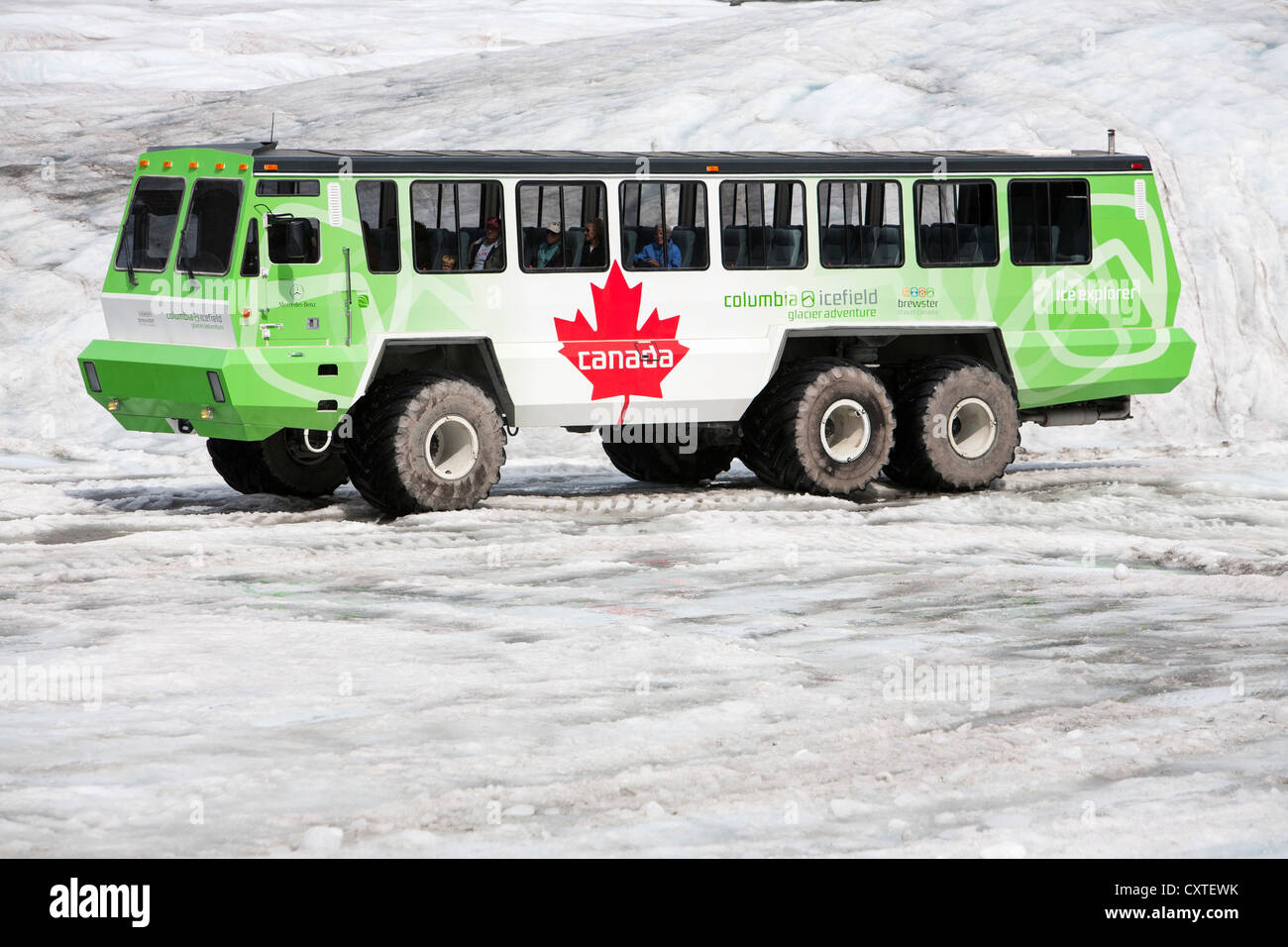Ice buggy's on the athabasca glacier hi-res stock photography and ...