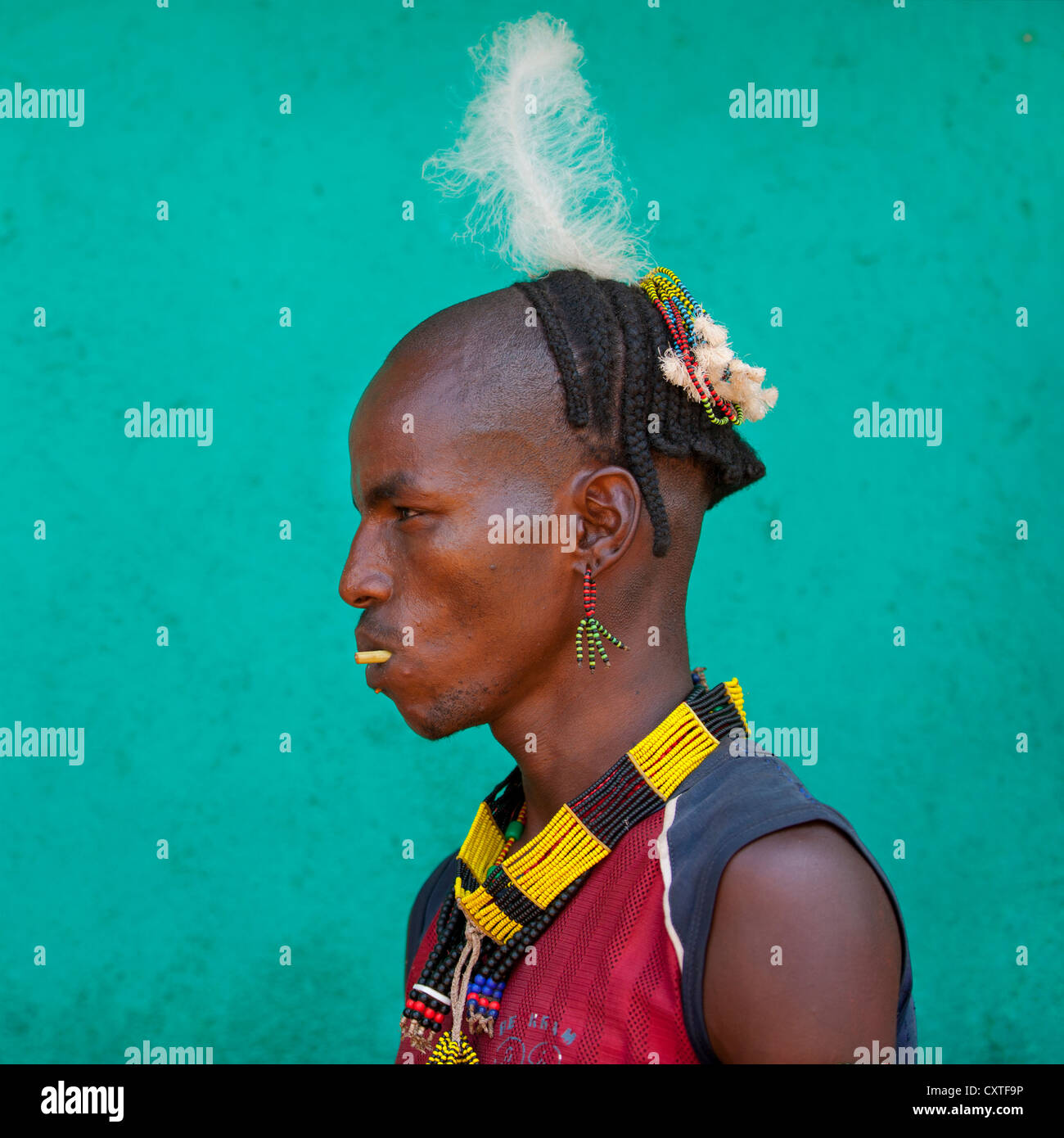 Young Hamar Tribe Man With Decorated Hair, Turmi, Omo Valley, Ethiopia ...