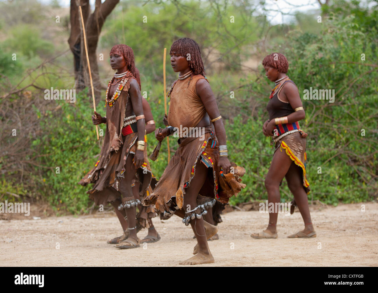 Hamar Tribe Women Dancing At A Bull Jumping Ceremony, Turmi, Omo Valley ...
