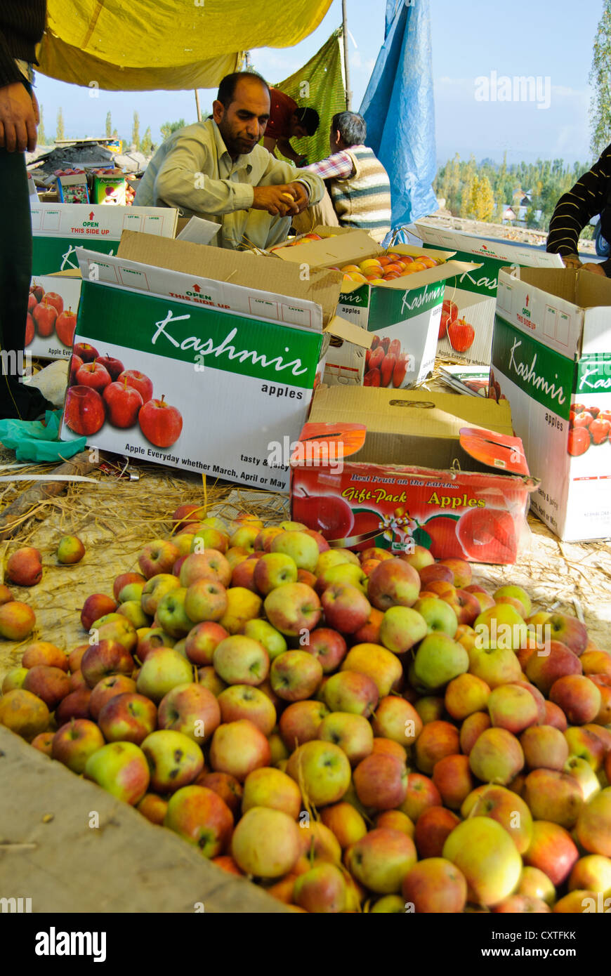 Pile of apple boxes hi-res stock photography and images - Alamy