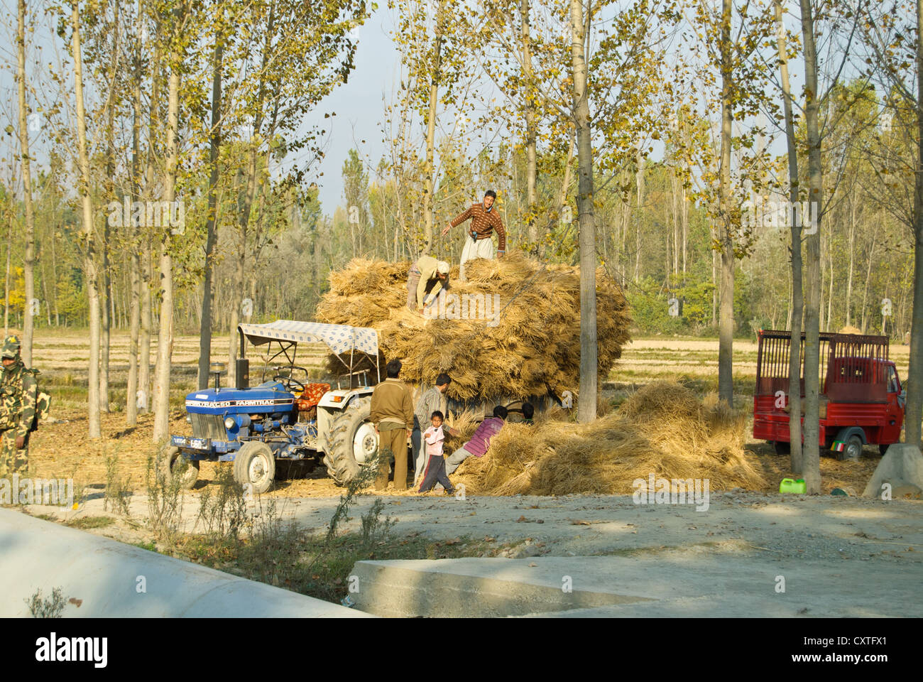 Farm works can be seen along the road in Kashmir Stock Photo - Alamy