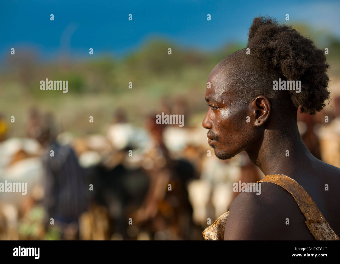 Hamar Jumper At Bull Jumping Ceremony, Turmi, Omo Valley, Ethiopia ...