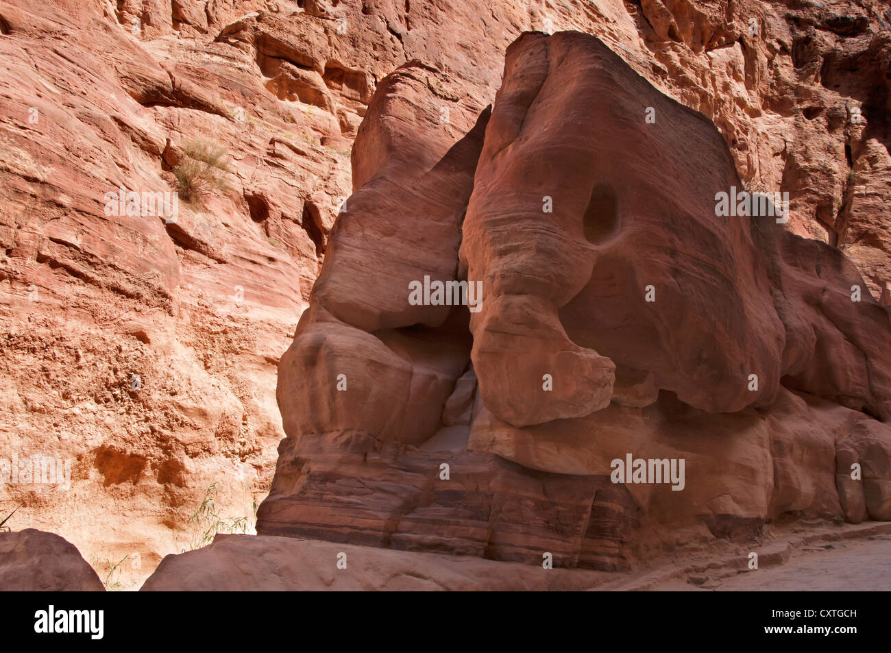 Elephant shaped forms, Al-Siq, Petra Stock Photo - Alamy