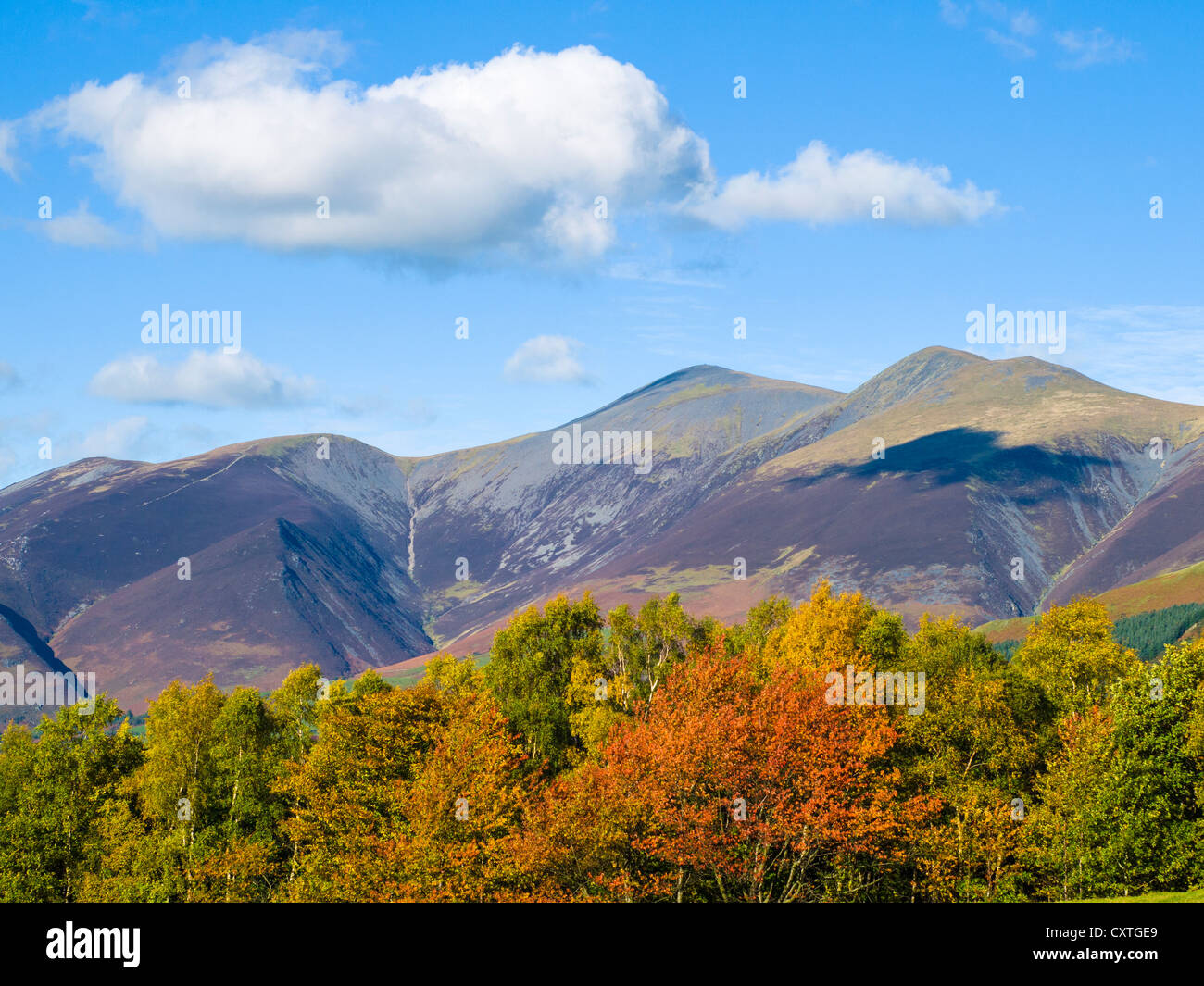 Autumn colours and Skiddaw in the Lake District National Park near ...