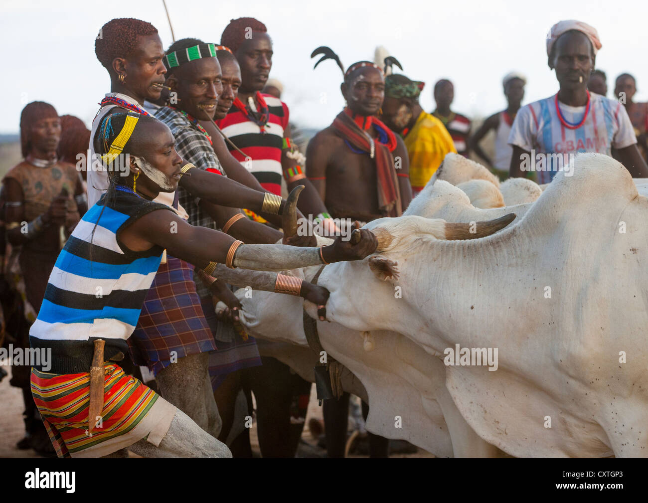 Hamer Tribe Bull Jumping