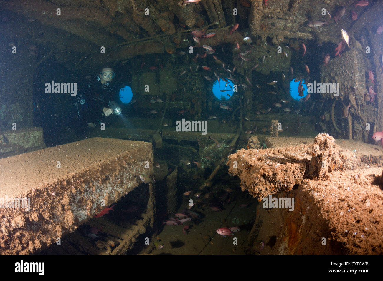Kitchen inside Maldive Victory Wreck, North Male Atoll, Maldives Stock ...