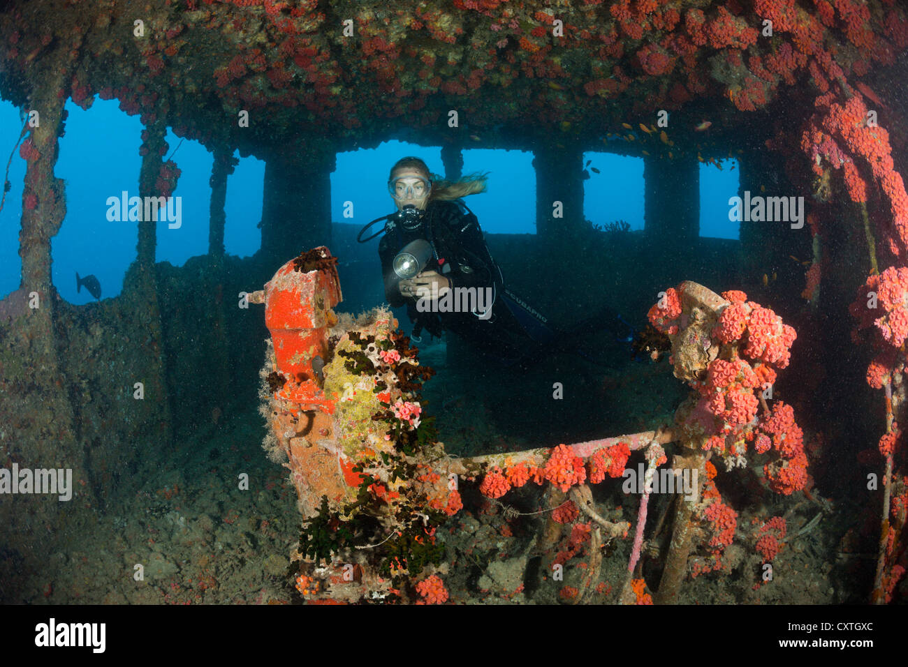 Diver inside Bridge of Maldive Victory Wreck, North Male Atoll ...