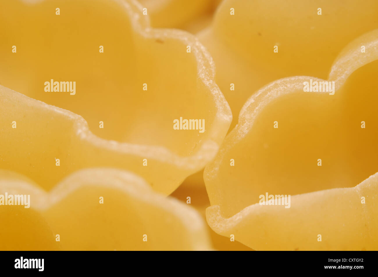 Image of pasta shells hi-res stock photography and images - Alamy