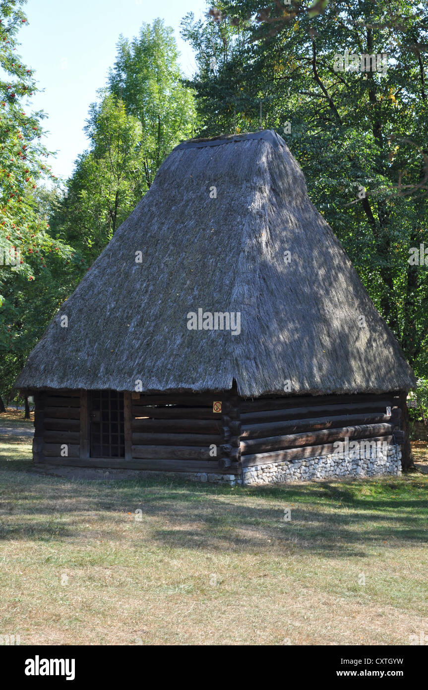 Circular wood and thatch hut in the forest Stock Photo - Alamy