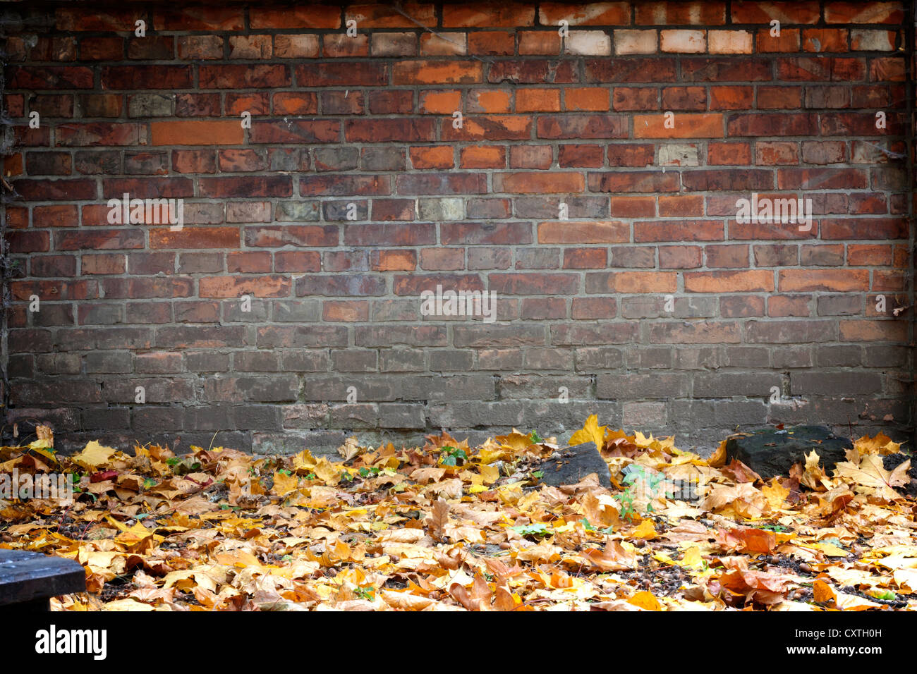 Leaves and brick wall background in autumn Stock Photo - Alamy