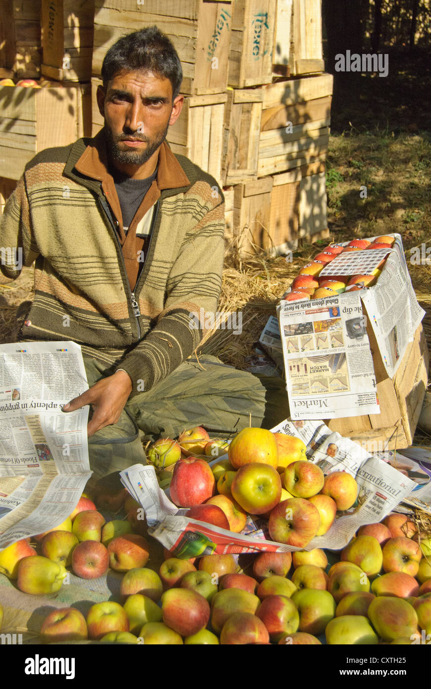 Man packing fruits hi-res stock photography and images - Alamy