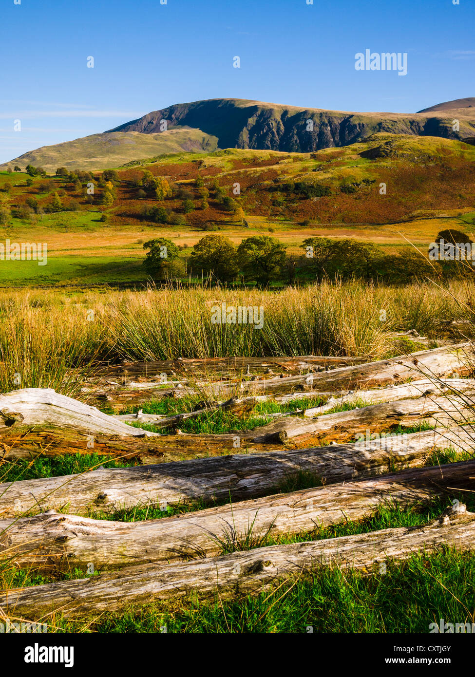 Clough Head in autumn in the Lake District. Cumbria, England Stock ...