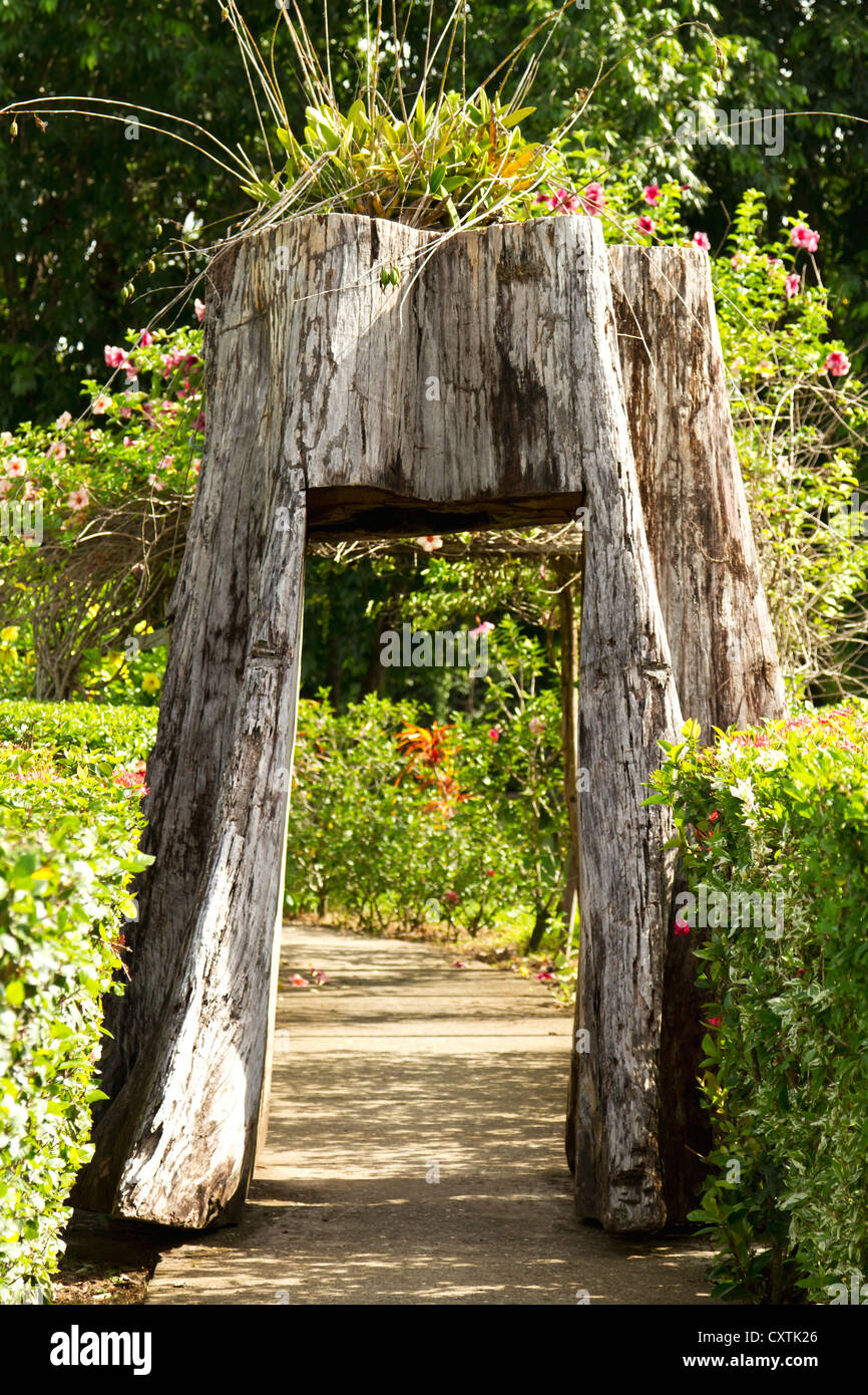 Large tree stump with walkway tunnel carved through middle Stock Photo ...