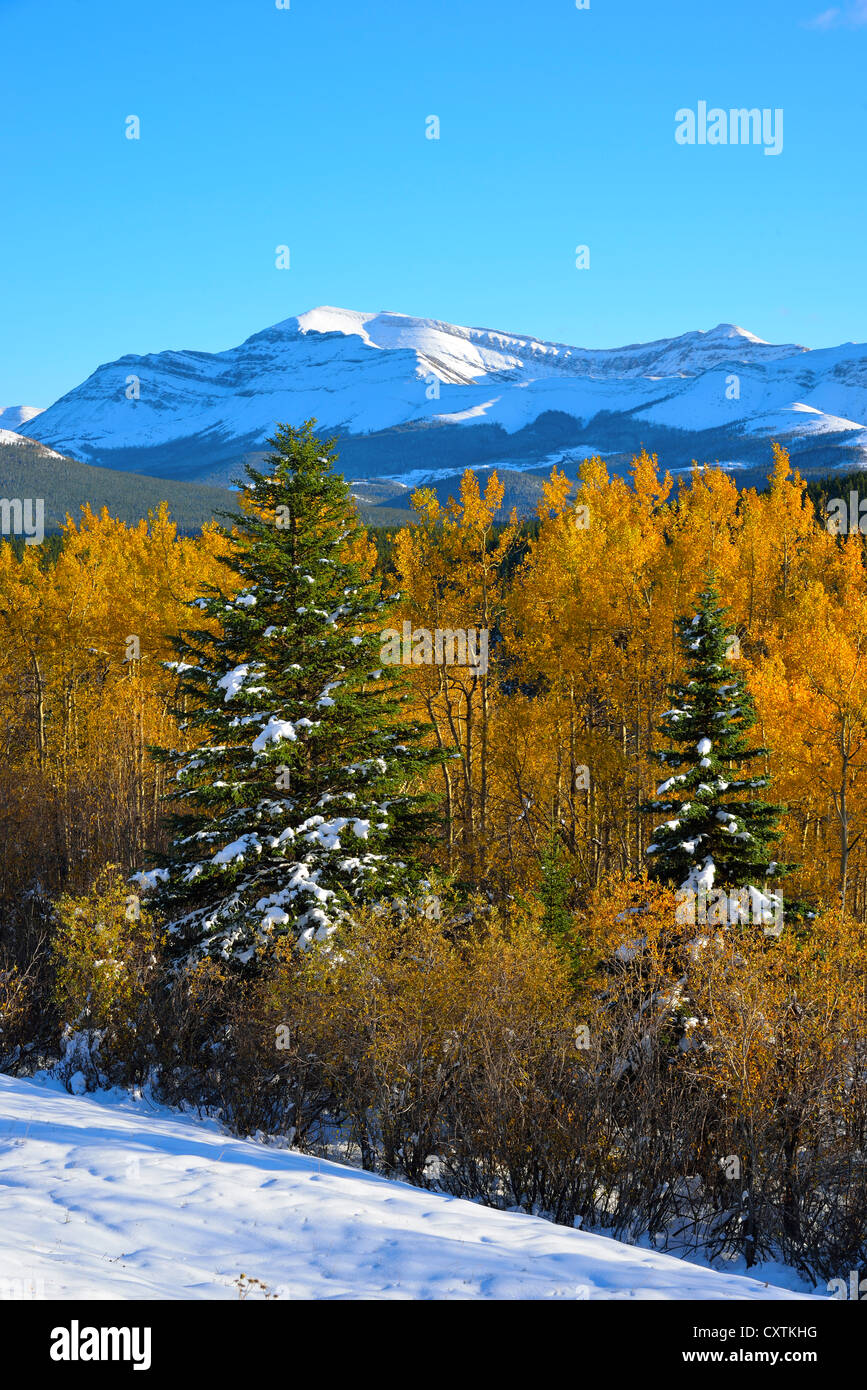 An autumn nature scenic near the rocky mountains of Alberta Canada ...