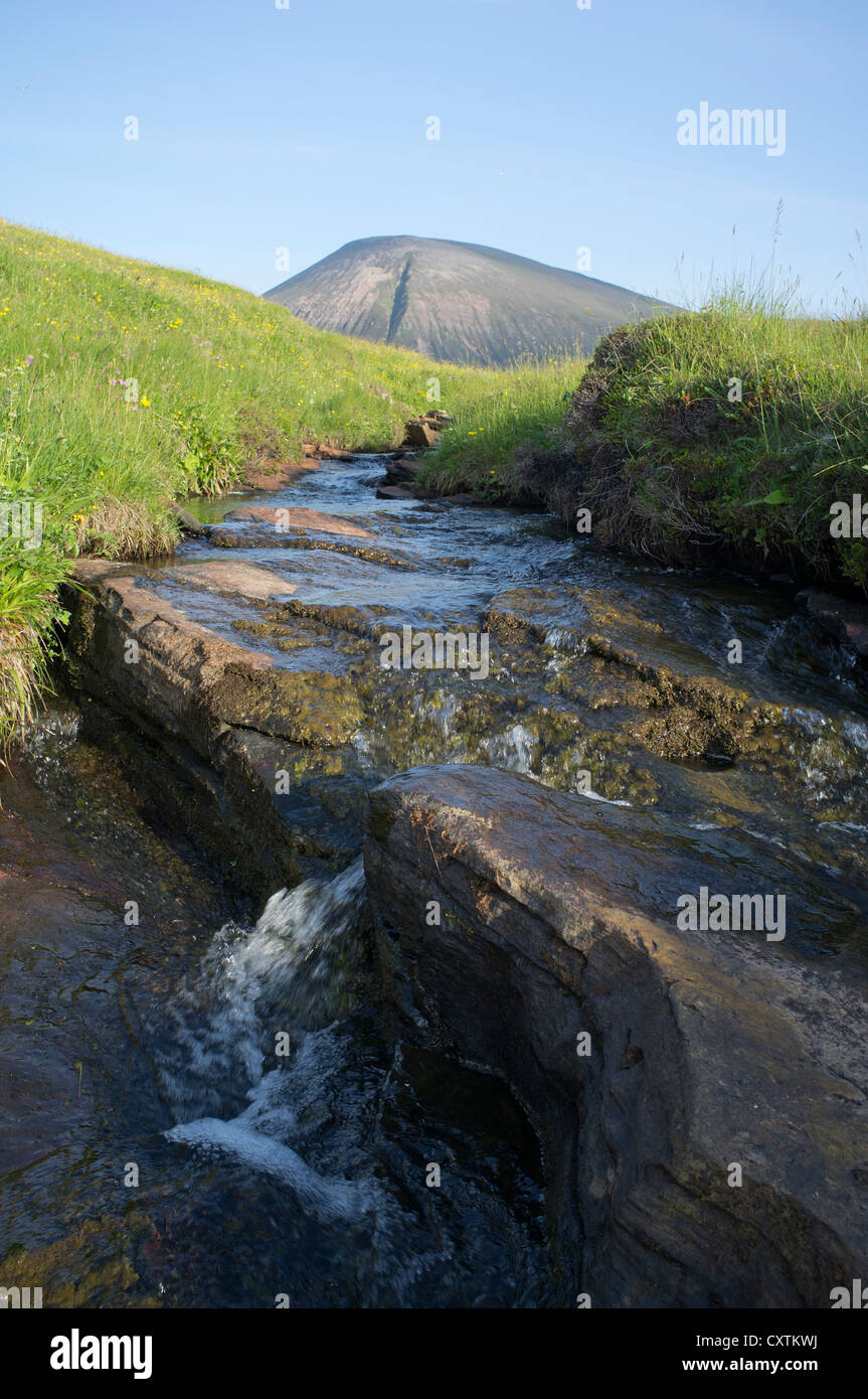 dh HOY ORKNEY Cool mountain stream river running water over rocks Stock ...