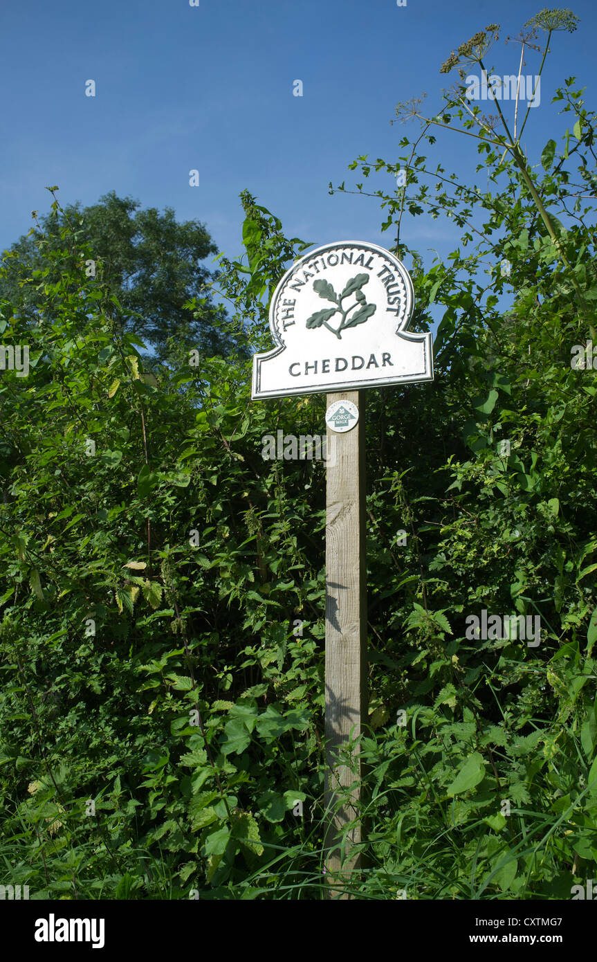 dh CHEDDAR GORGE SOMERSET The National trust Cheddar Gorge signpost ...