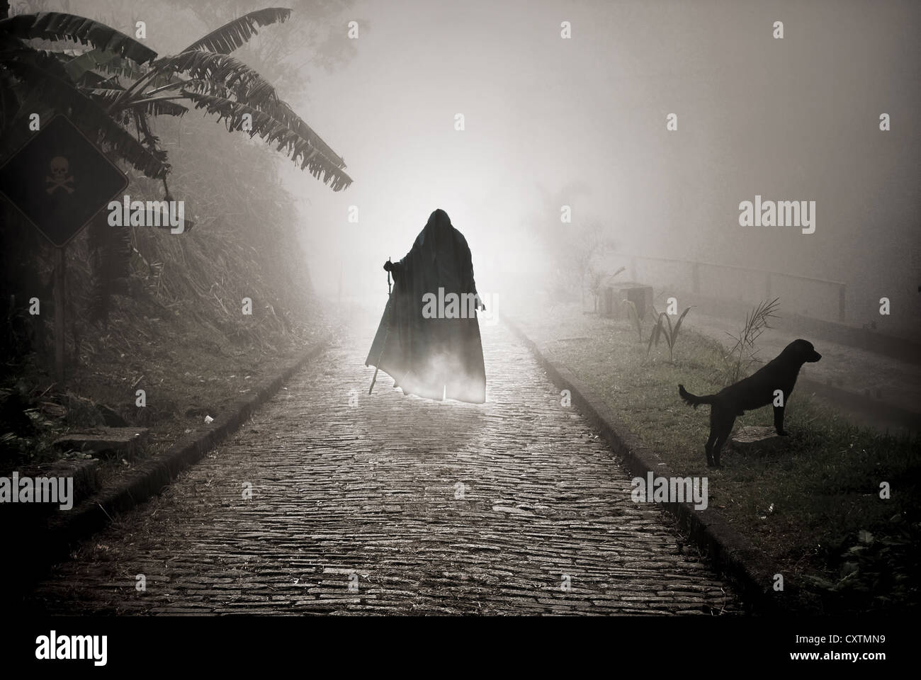 Death is coming hi-res stock photography and images - Alamy