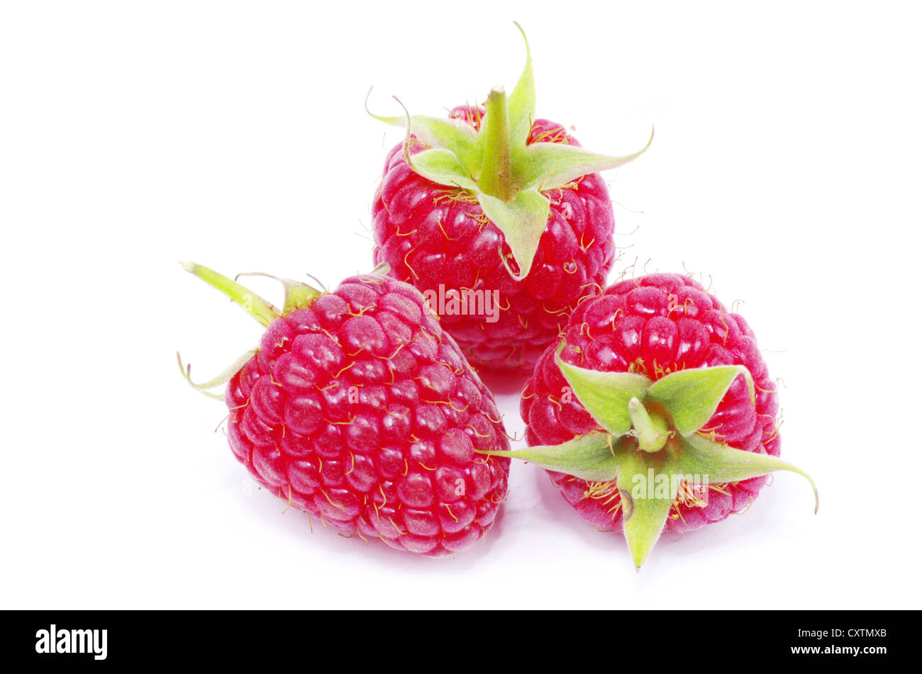 Ripe raspberry isolated on a white background Stock Photo - Alamy
