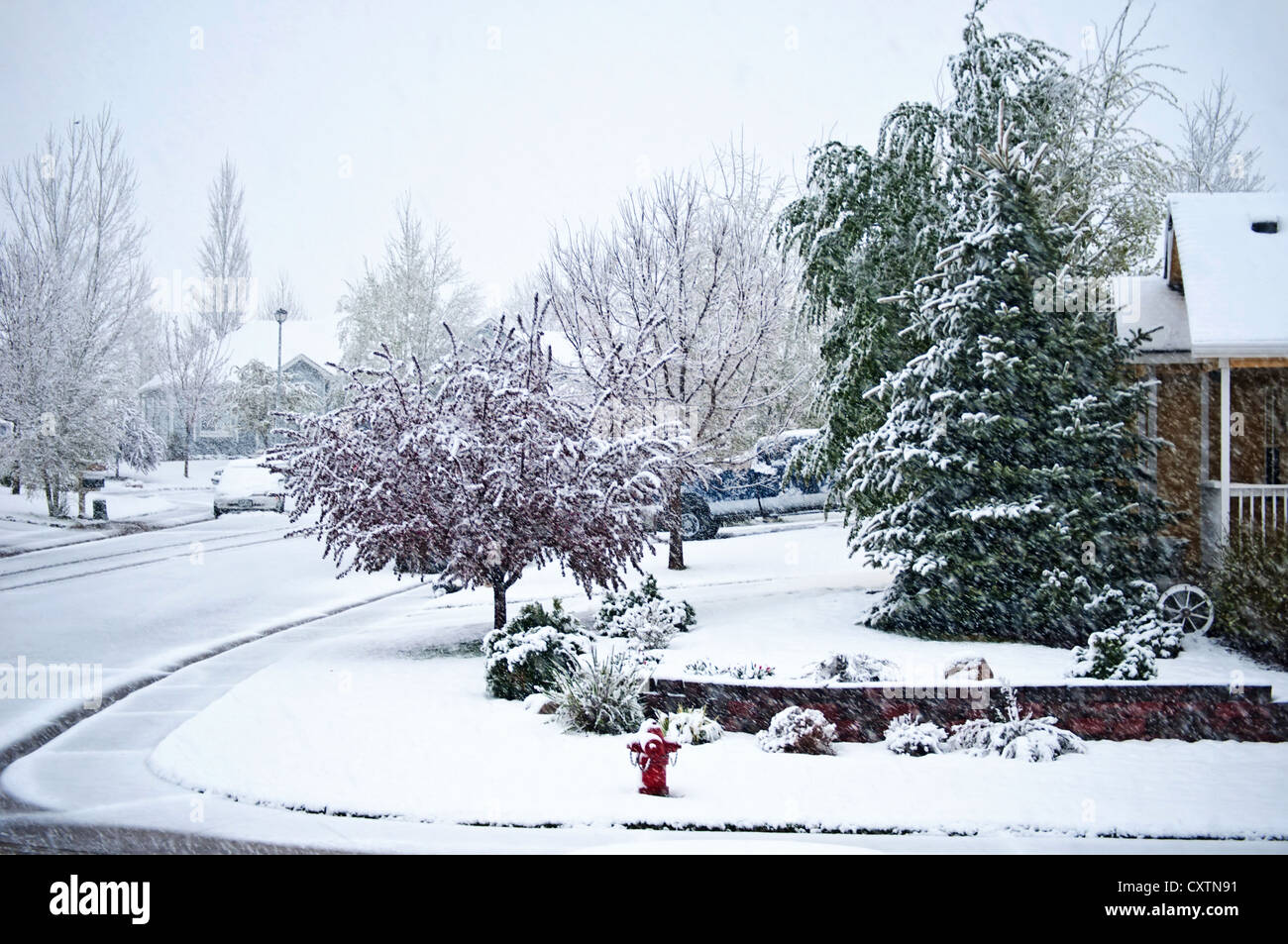 Fresh snow in a suburban neighborhood in central Colorado, USA Stock ...