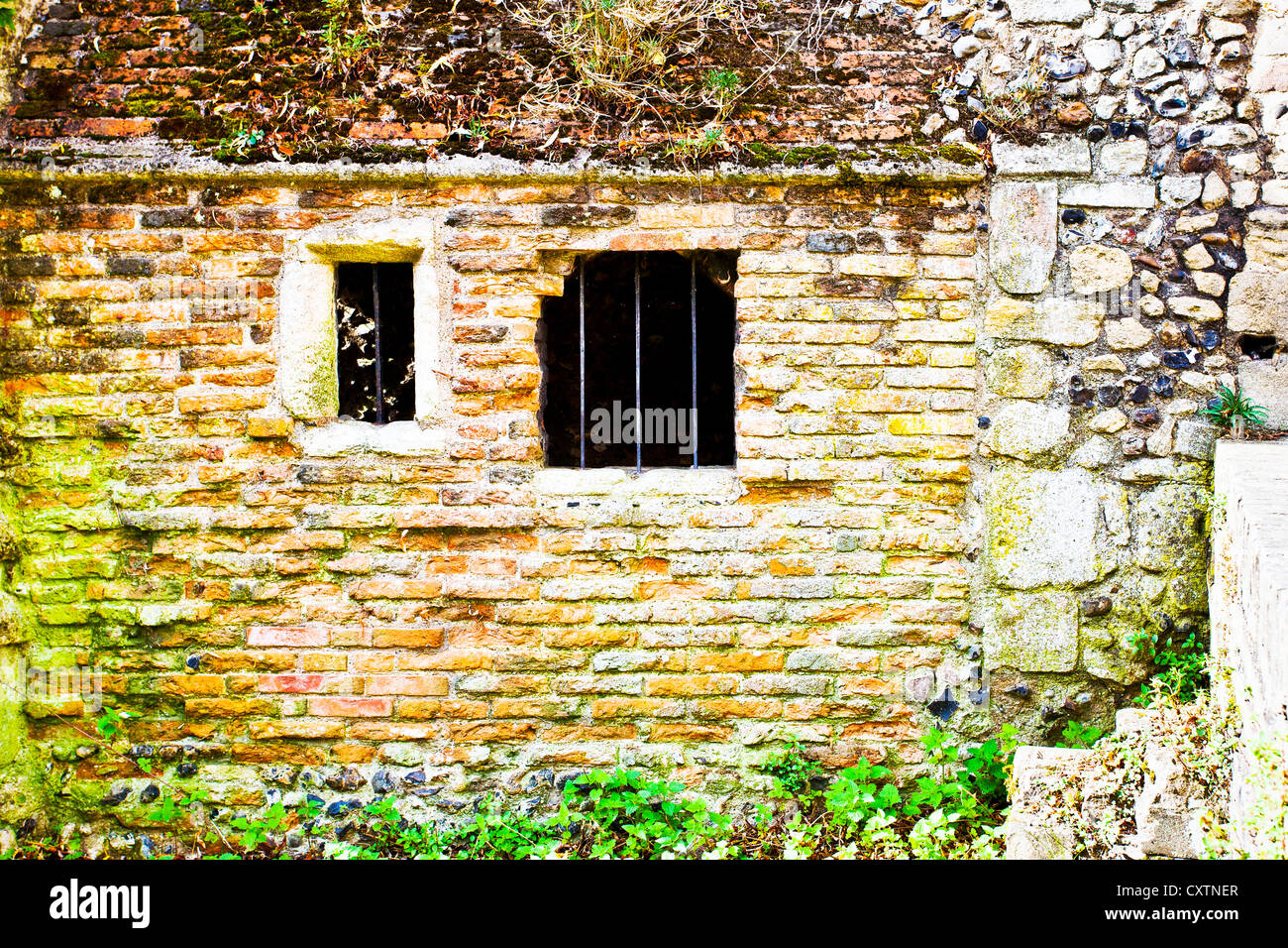 Two overgrown ruins hi-res stock photography and images - Alamy