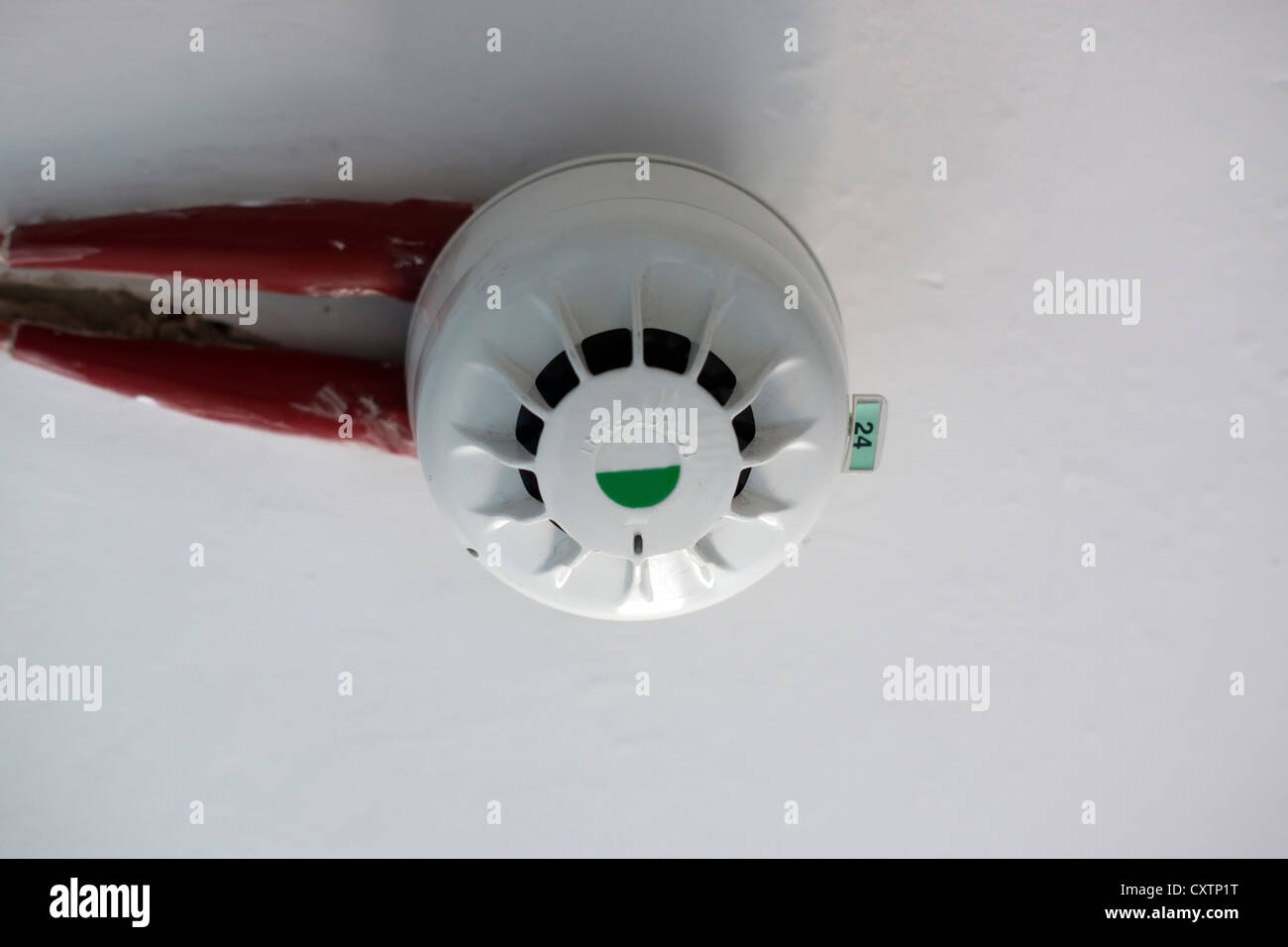 Safety detector hi-res stock photography and images - Alamy