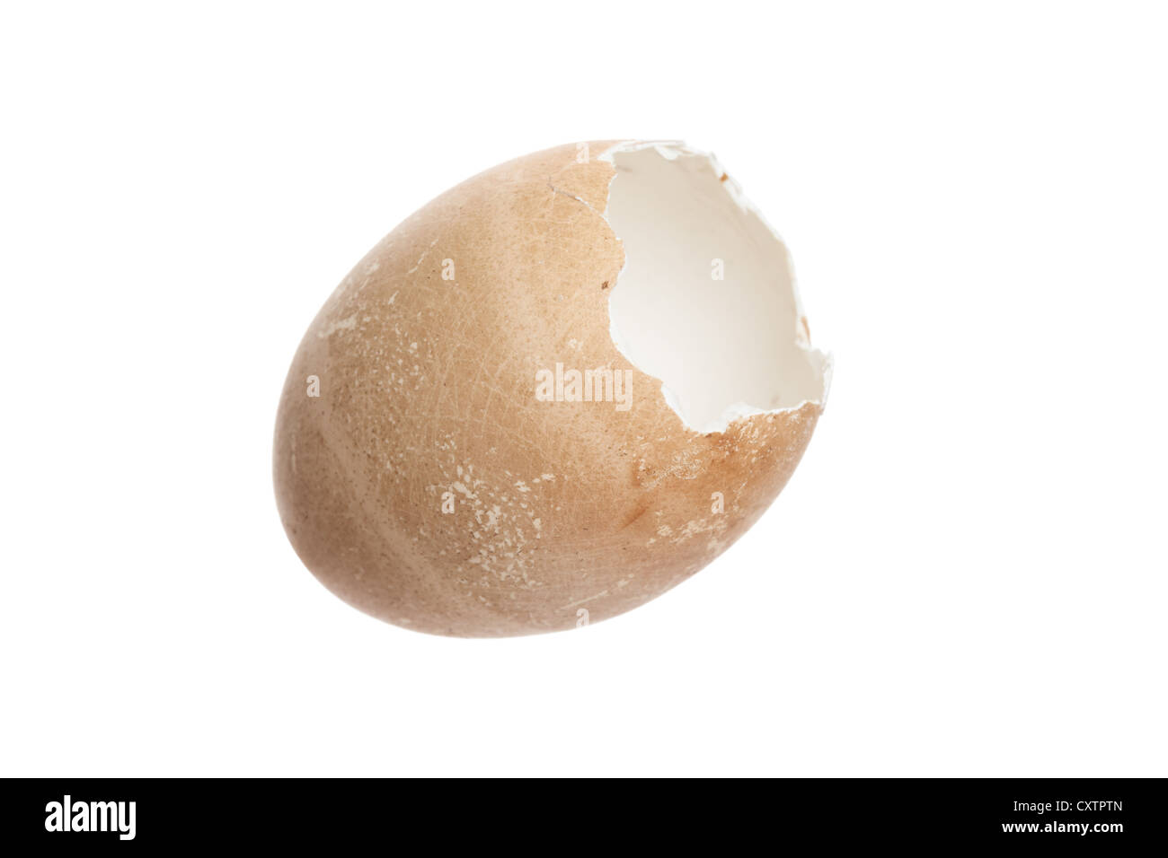 Broken brown egg shell with white background Stock Photo - Alamy
