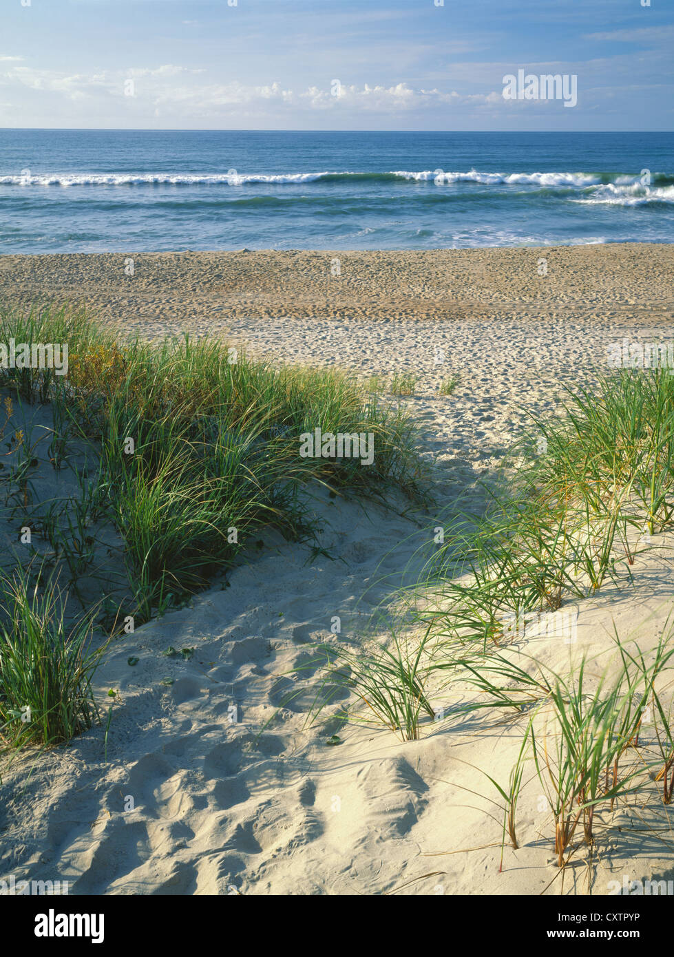 Outer banks beach scene hi-res stock photography and images - Alamy