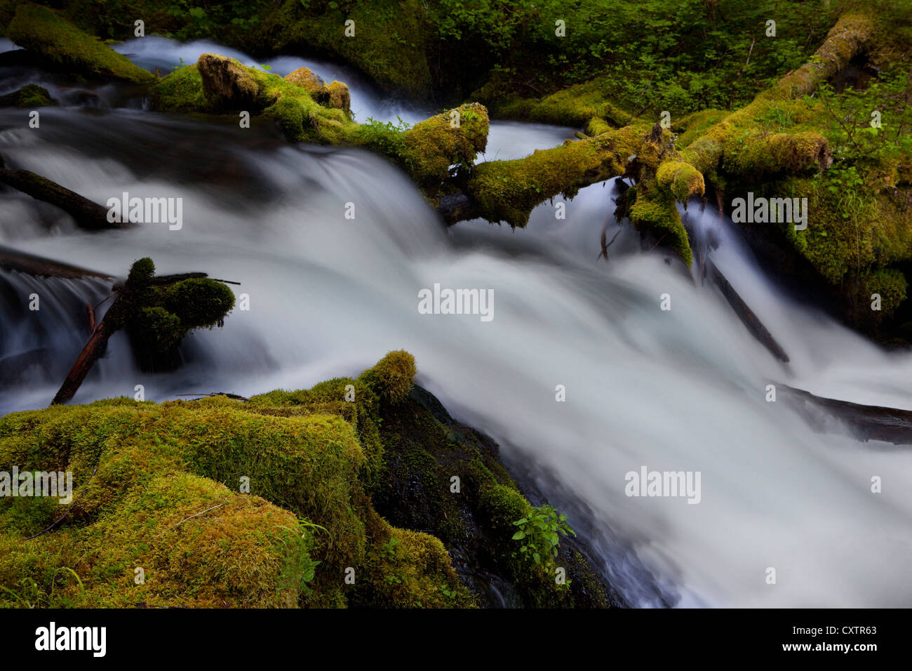 Waterfalls oregon cascades hi-res stock photography and images - Alamy