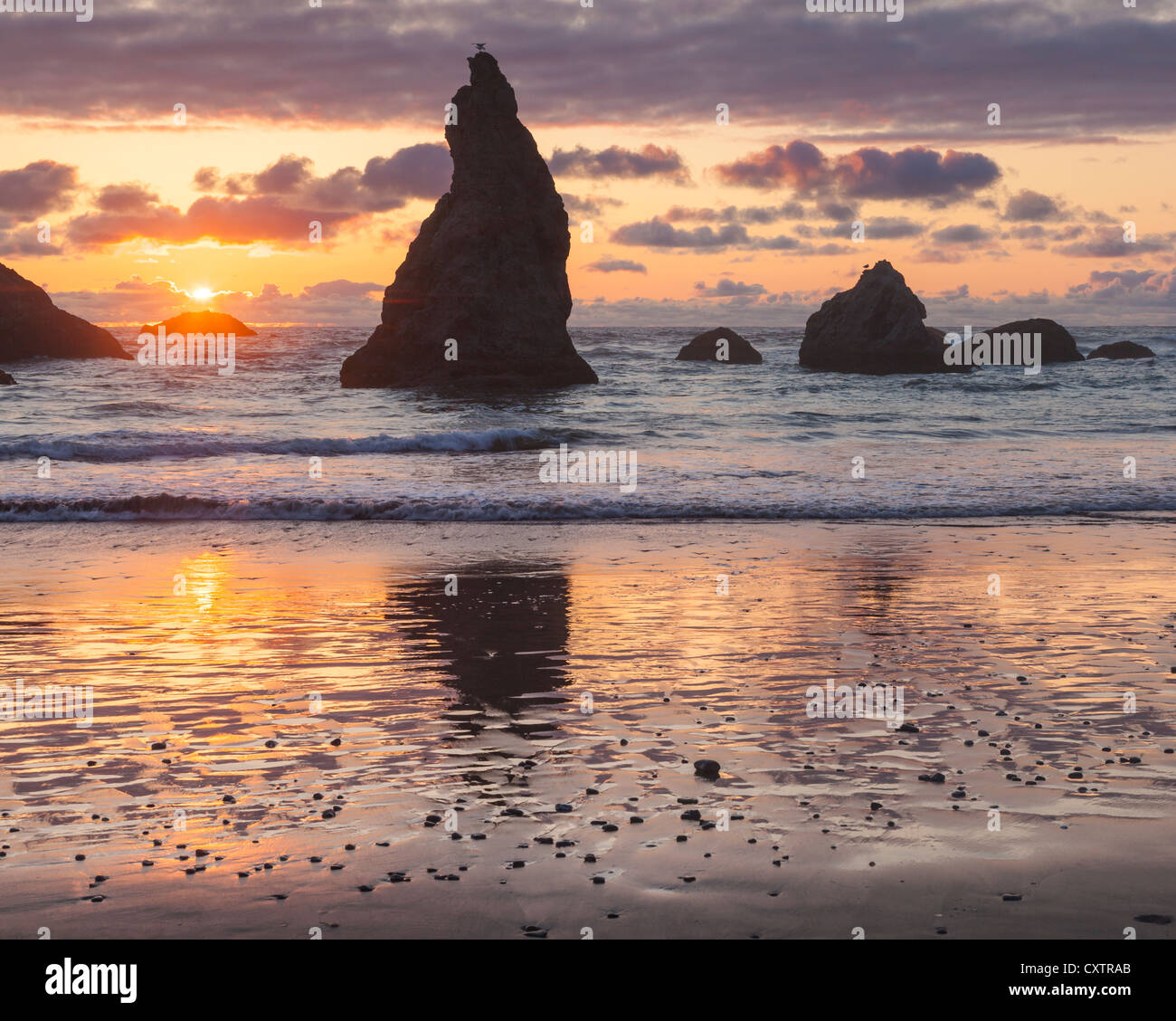 Bandon State Park, OR: Sunset at Bandon Beach with silhouetted ...