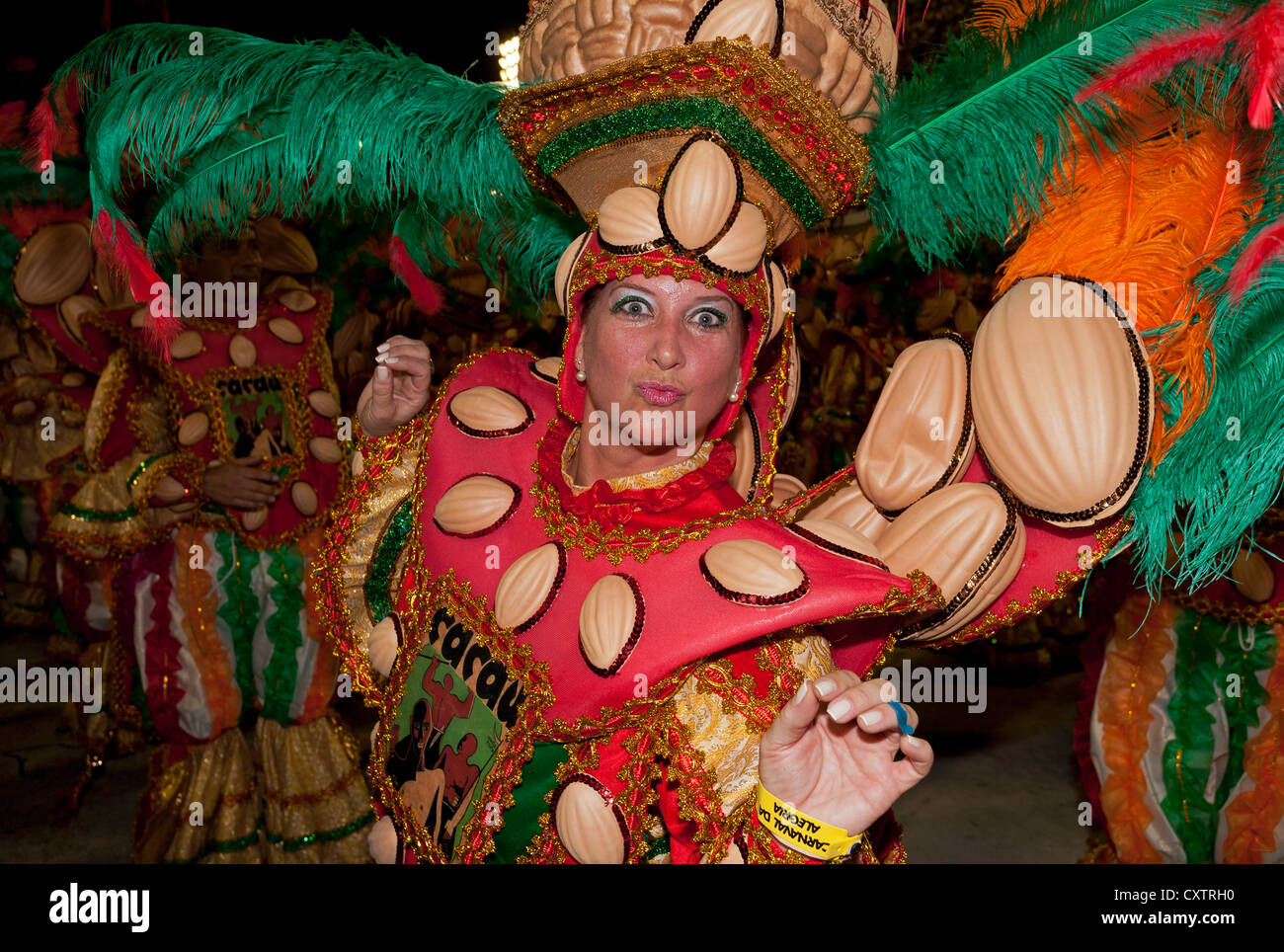 Reveller Carnival Rio de Janeiro Brazil Stock Photo - Alamy