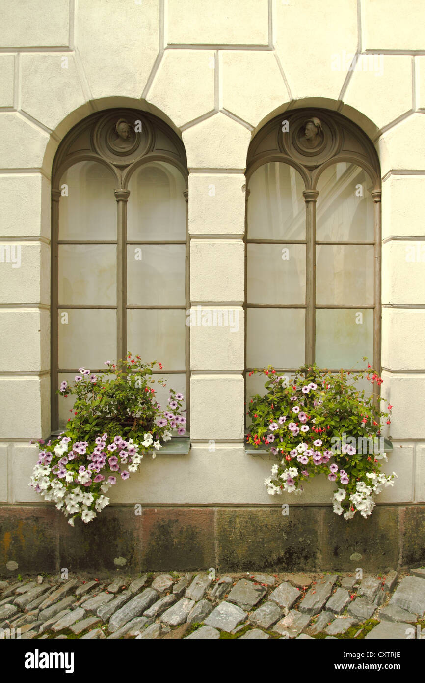 window with flowers Stock Photo - Alamy