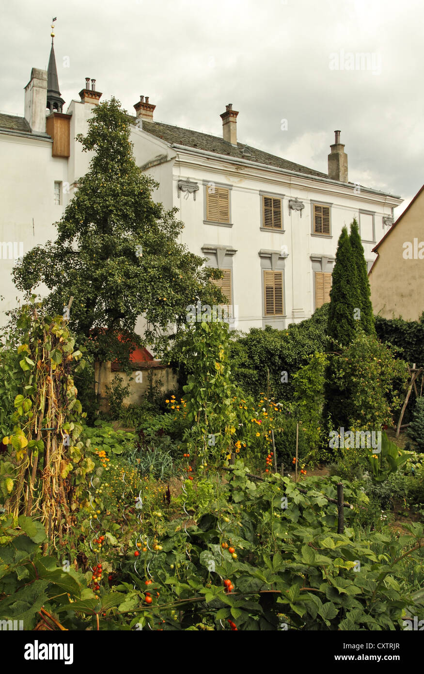 The magic garden hi-res stock photography and images - Alamy
