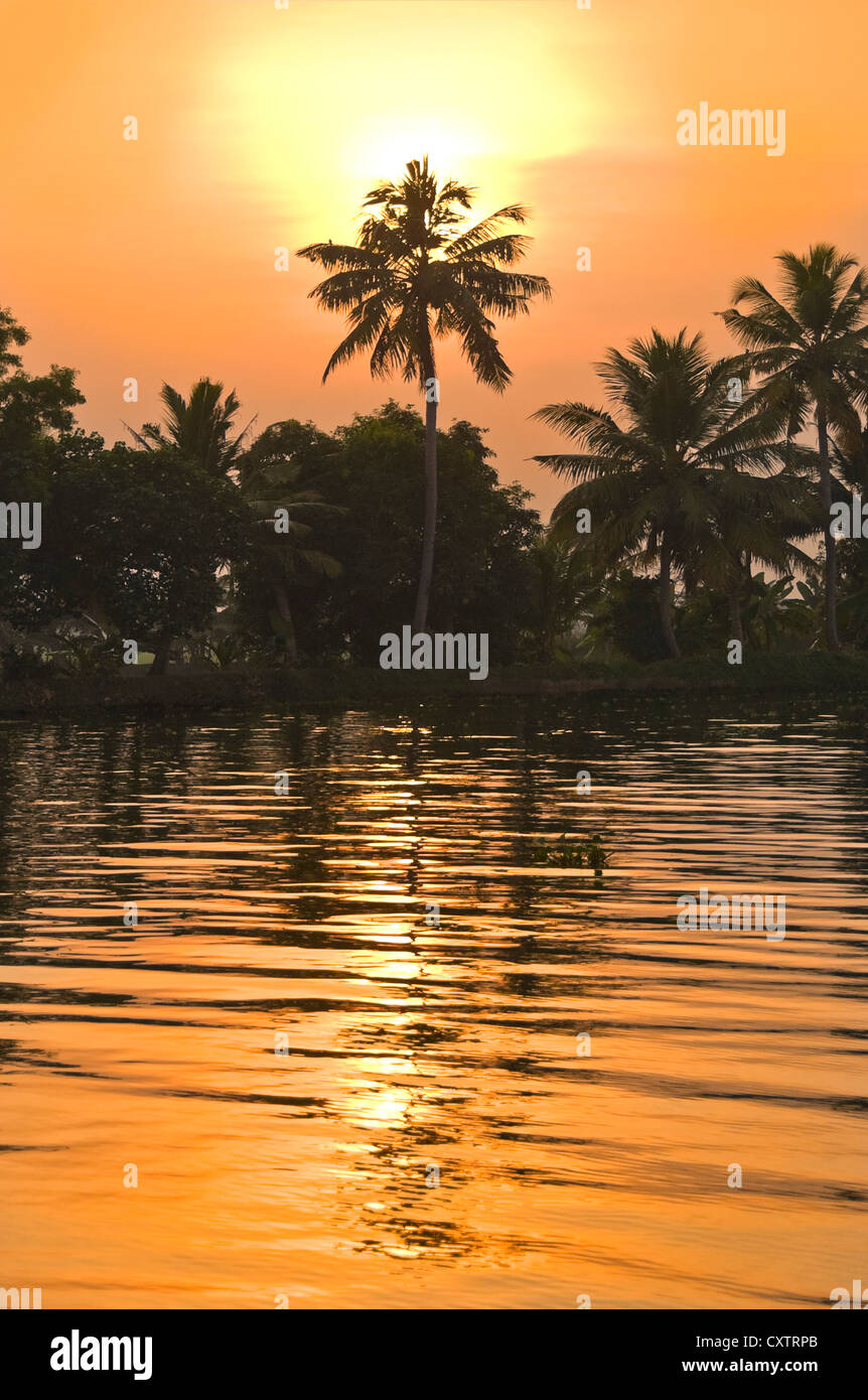 Vertical view of a glorious sunset in the backwaters of Kerala Stock ...