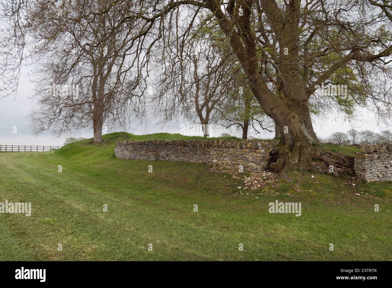 The Windmill Tump Long Barrow Rodmarton, a Neolithic chambered tomb ...