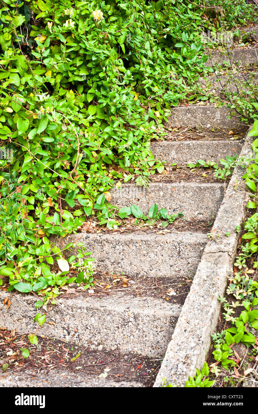 Weeds in stone steps hi-res stock photography and images - Alamy