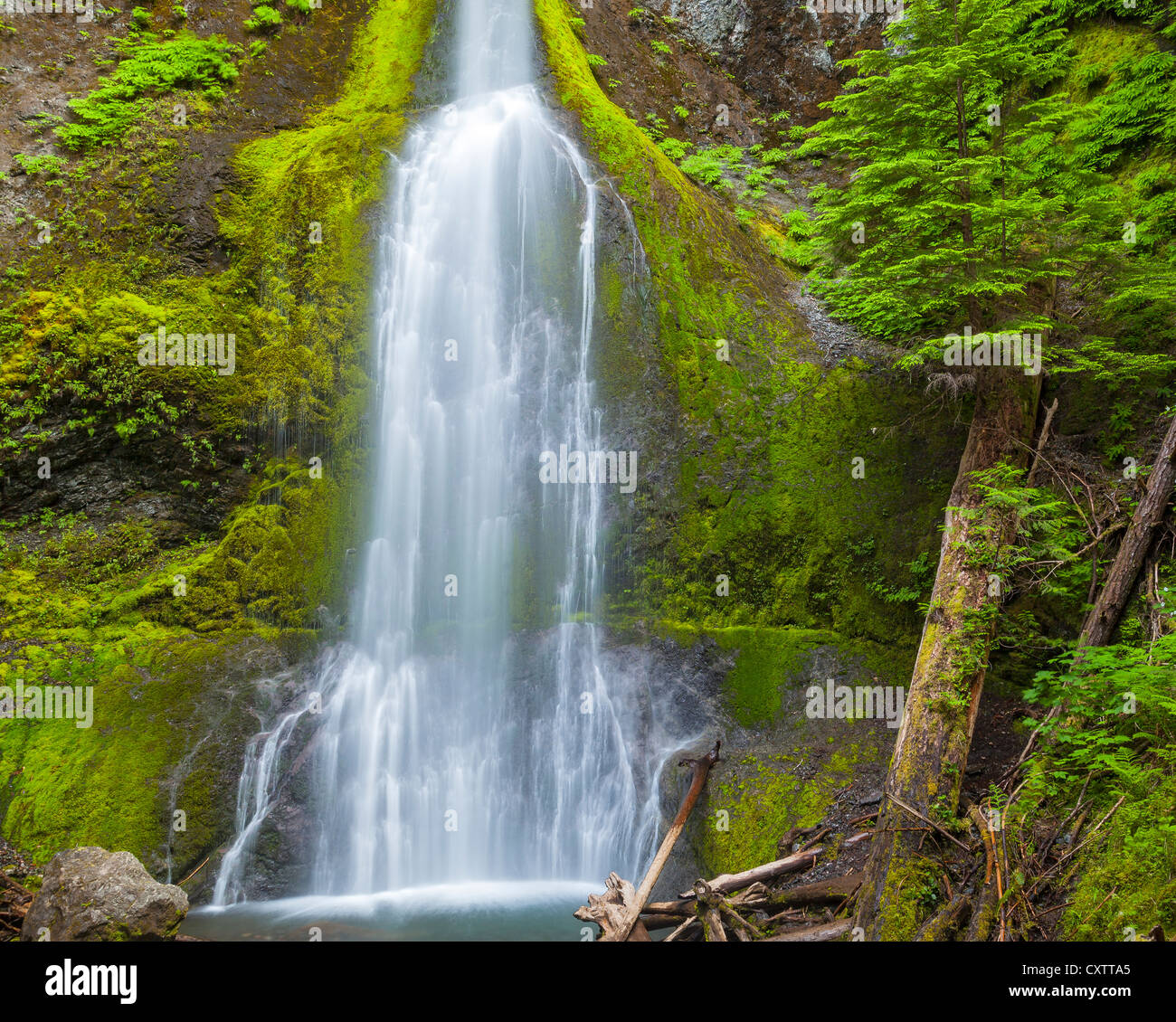 Olympic national park marymere falls hi-res stock photography and ...