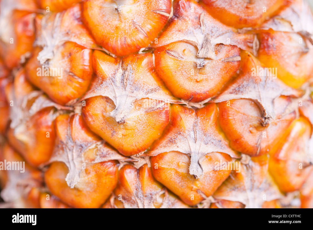 Pineapple close up hi-res stock photography and images - Alamy