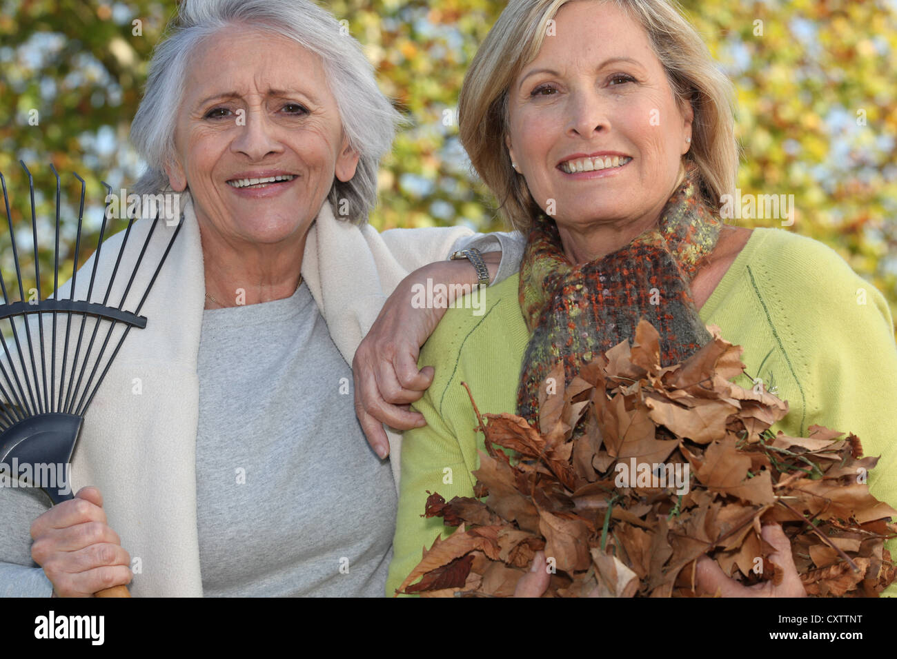 Two women raking leaves Stock Photo - Alamy